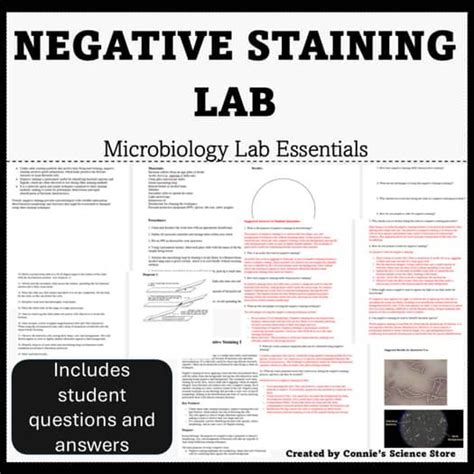 Microbiology Negative Staining Lab With Babe Questions And Answers