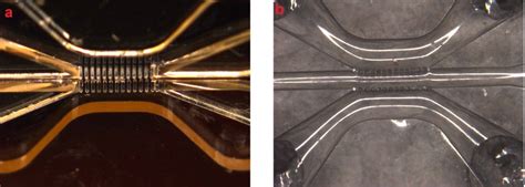 8 Newton Pdms Final Device A Showing The Device With Pillars B Top Download Scientific