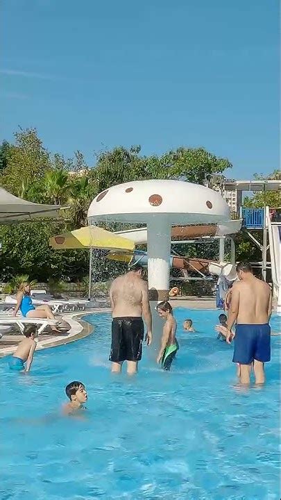 Shorts معرفی پارک آبی دلفین در منطقه اسنیورت استانبول قیمت بلیط پارک