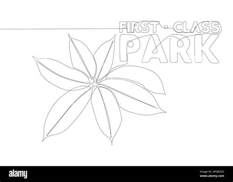 One Continuous Line Of First Class Park Word With Plants Leaf Thin Line Illustration Vector