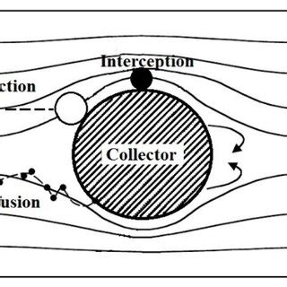 Schematic Presentation Of Individual Collection Mechanisms At A Single Download Scientific