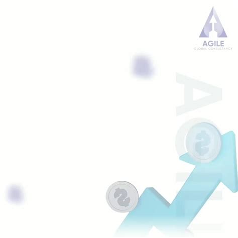 Agileglobalconsultancy Expertguidance Dynamicbusinessevolution Business Agile Global