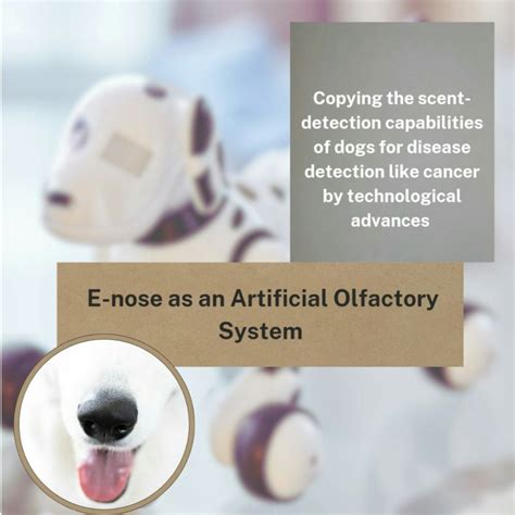 Javeria Samee On Linkedin Ai Technology Medicaltechnology Cancerdiagnosisbytechnology Enose