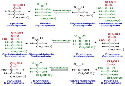 The Ppp Syracuse University