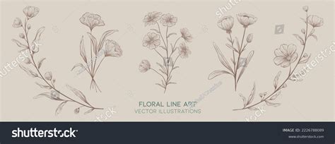 Vector Floral Line Art Set Stock Vector Royalty Free 2226788089 Shutterstock
