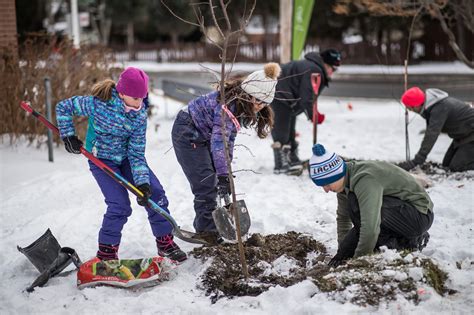 École Gentilly Ici On Verdit