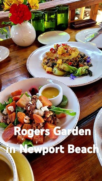 화창한 날씨와 아름다운 꽃 Youtube