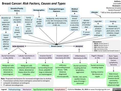 Breast Cancer Risk Factors Causes And Types Calgary Guide