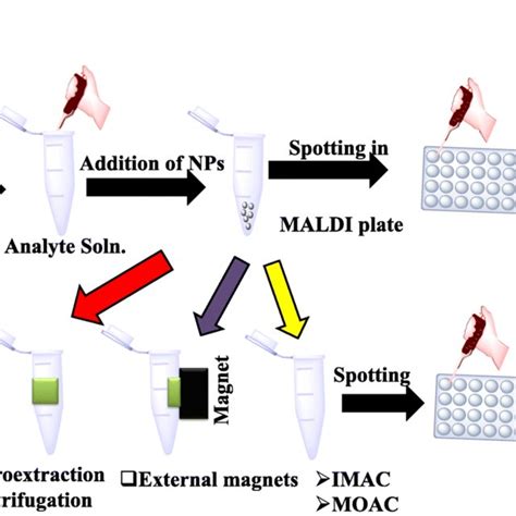 In Situ Maldi Ms Imaging Of Lipids And Metabolites In The Tissue Download Scientific Diagram