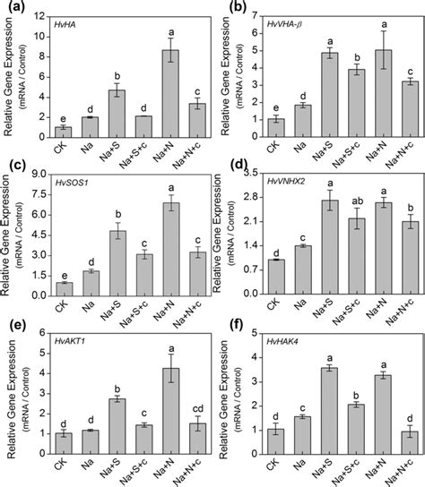 Real Time Quantitative Pcr Analysis Of Relative Transcript Abundance Of
