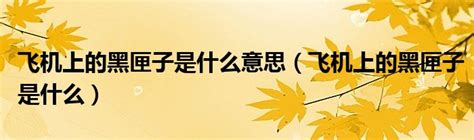飞机上的黑匣子是什么意思飞机上的黑匣子是什么 草根科学网