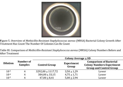 Overview Of Methicillin Resistant Staphylococcus Aureus Mrsa Colony Download Scientific