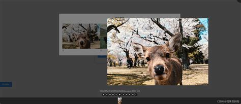 Vue实现（图片预览、鼠标v滚动、点击放大、图片轮播等功能）vue3 Element 轮播一样大小的图片 Csdn博客