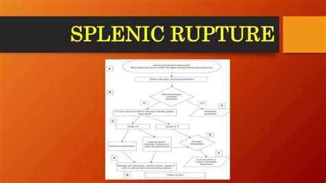 Splenic Injurypptx Death Injury Or Military Conflict Sensitive