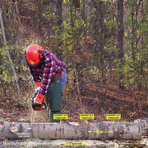 How To Cut Down A Tree Safely Family Handyman