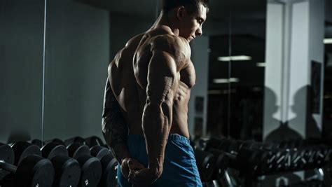 Rad 140 Dosage And Complete Cycle Guide For Maximum Gains Pumping