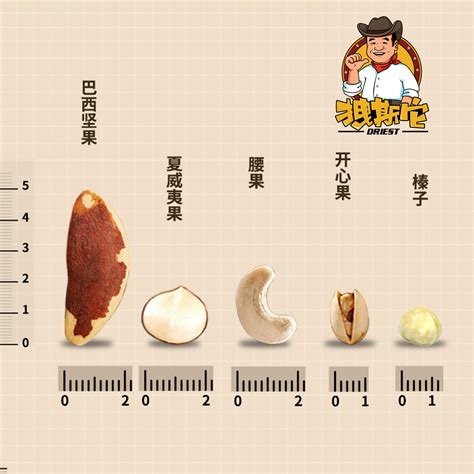 拽斯它原味进口巴西坚果鲍鱼果沙漠果盒装罐装无壳果仁零食三口味 虎窝淘