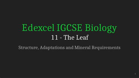 Edexcel Igcse Biology Lesson 11 The Leaf Teaching Resources