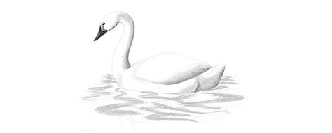 How To Draw Water In Nature Envato Tuts