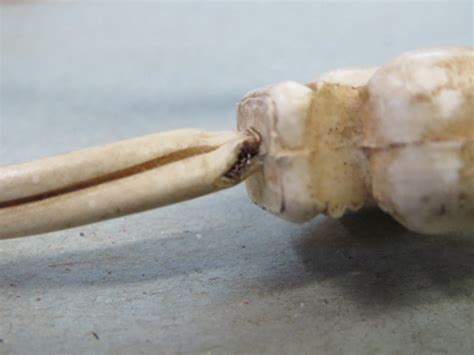 Lamp Parts And Repair Lamp Doctor Older Lamp With 3 Terminal Socket And Safety Concerns