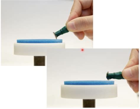 1 Modification Flashcards Quizlet