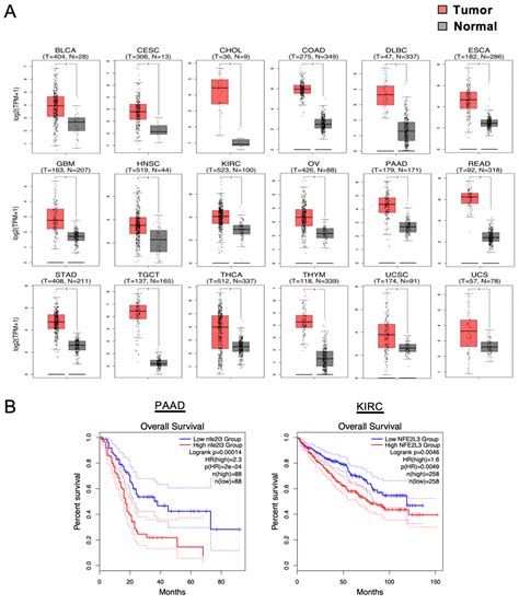 Roles Of Nrf3 In The Hallmarks Of Cancer Proteasomal Inactivation Of
