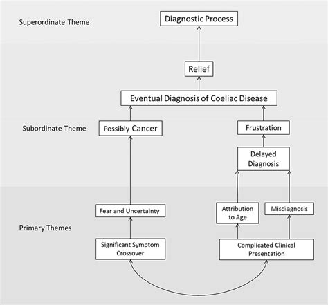 Model Detailing Participant Experiences Surrounding The Diagnostic