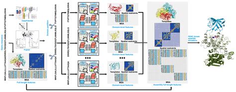 D I Tasser Help Page