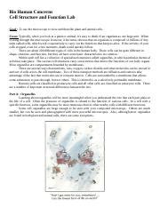 Exploring Cell Structure And Function Course Hero