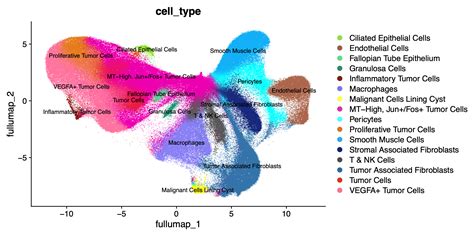 Annotating Cell Types In Xenium In Situ Data With Label Transfer 10x