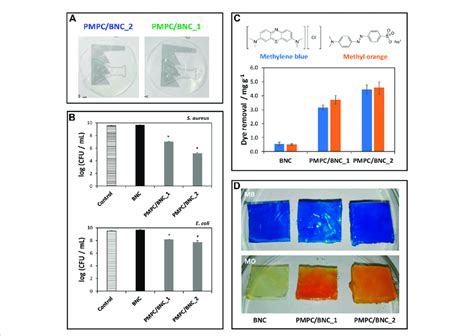 A Digital Photographs Of The Zwitterionic Membranes B Graphical Download Scientific