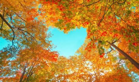 Ето какво време ни очаква до края на работната седмица