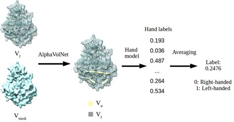 Diagram Of The Hapi Pipeline With The Inputs And Outputs At The Download Scientific Diagram