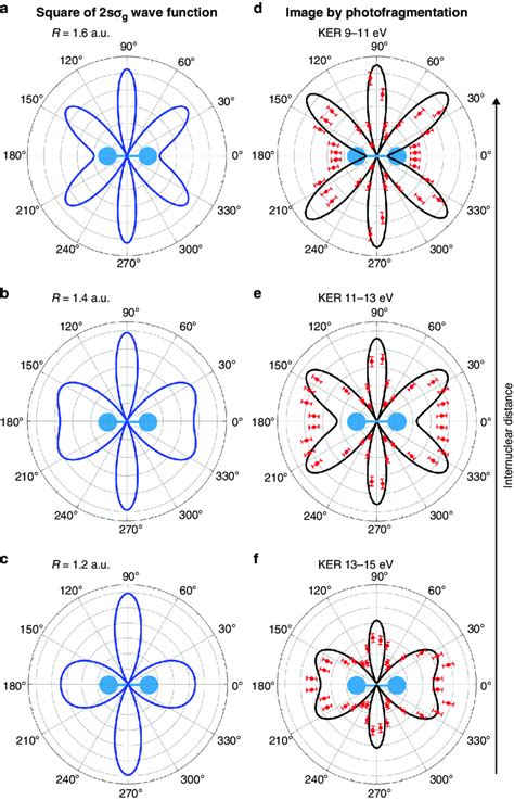 Dependence Of The Momentum Distribution On The Internuclear Distance R Download Scientific