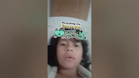 Cat Cat Cat Cat Eu Amo Cat Youtube