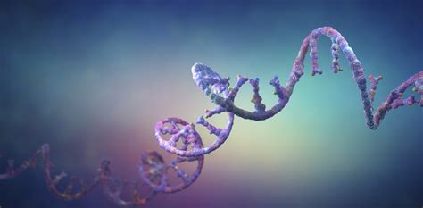 How Does Rna Know Where To Go In The City Of The Cell Using Cellular Zip Codes And Postal