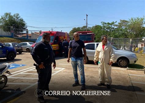 Crianças E Funcionários São Atacados Por Abelhas Em Creche De Artur