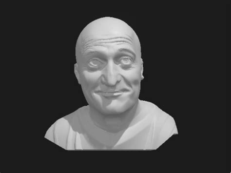 Bisius Bust Of Bisio By Lumberjack Makerworld
