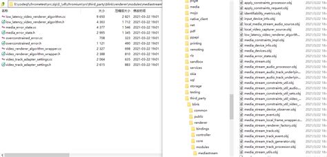 Some Sourcecode File Is Missing In The Analysis Of Chromium Project