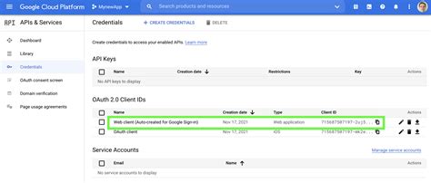 Google Sign In Configuration