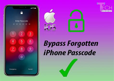Forgot Iphone Passcode Homecare