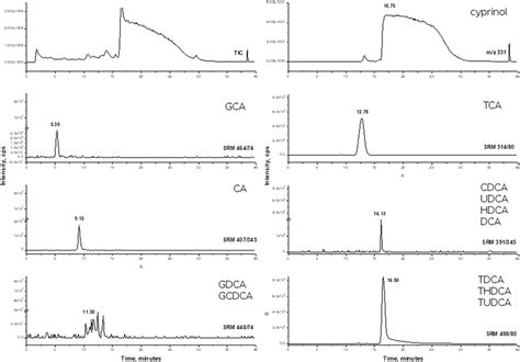 Total Ion Chromatogram Tic Single Ion Monitoring Sim At M Z 531 Download Scientific
