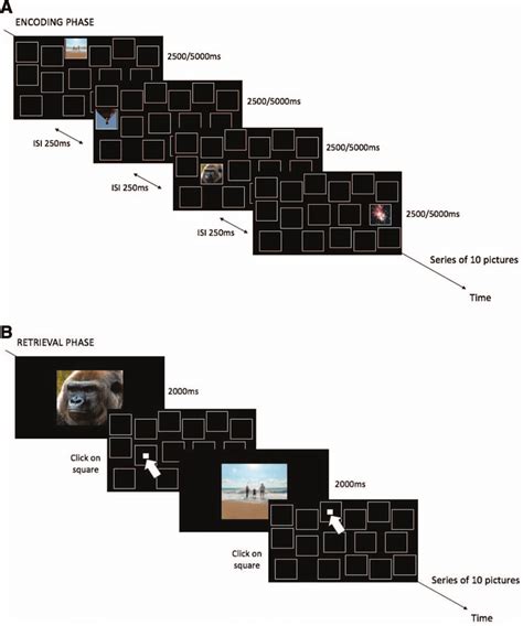 Procedures For A Encoding Phase And B Retrieval Phase Are Download Scientific Diagram