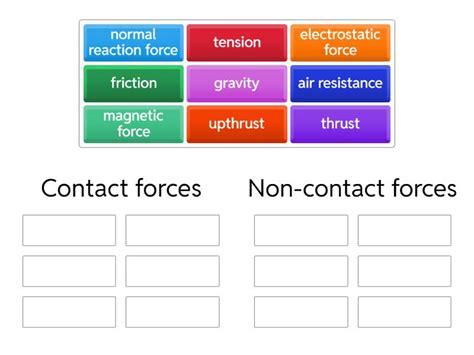 Y7 Contact And Non Contact Forces Group Sort
