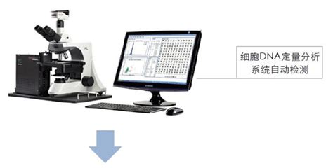 细胞DNA定量分析系统 数字病理远程诊断与质控平台