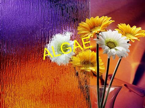 Carl Woeses Three Kingdom Classification Pptx Biological Sciences