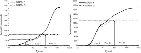 Pore System Classifications For Samples Sir03 And Sir08 Pore I