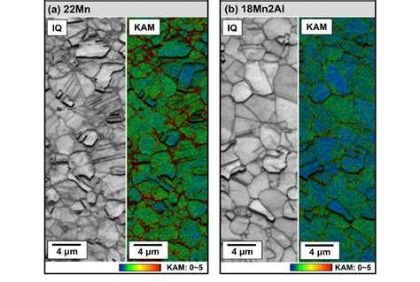 Ebsd Micrographs Image Quality And Kernel Average Misorientation Of