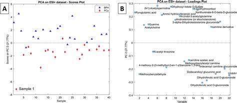 A Scores Plot And B Loadings Plot Of The PCA Model For The Download Scientific Diagram